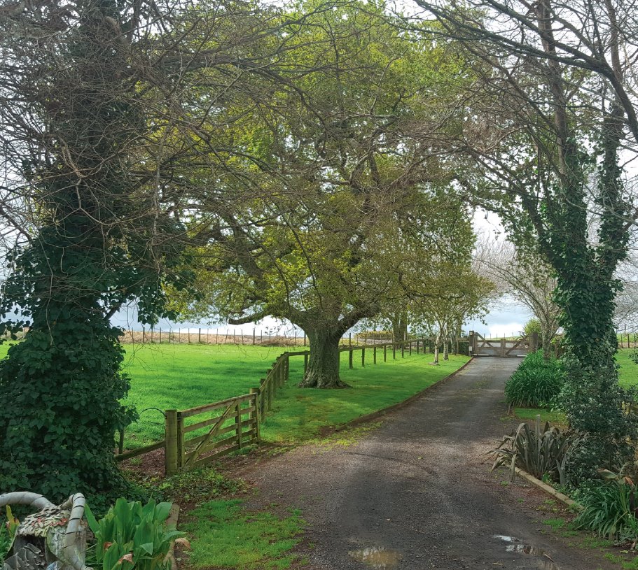 Horses for courses! - Franklin Times