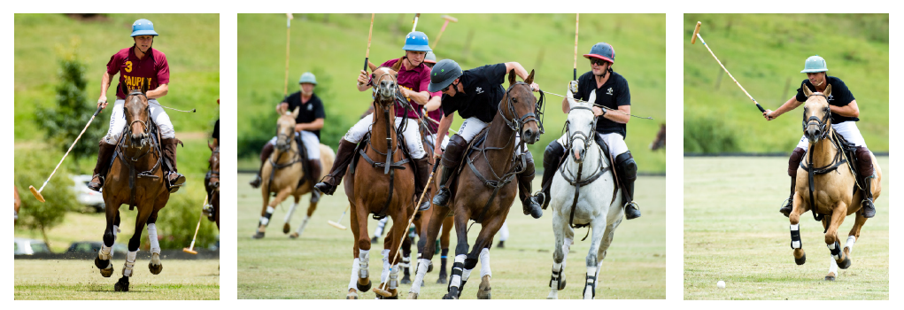 Of high-goal hopes - Sport, Polo, Polocrosse | Rural Living