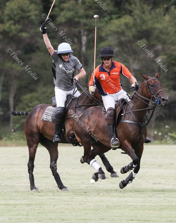 NZ Polo Open 2024 - Franklin Times