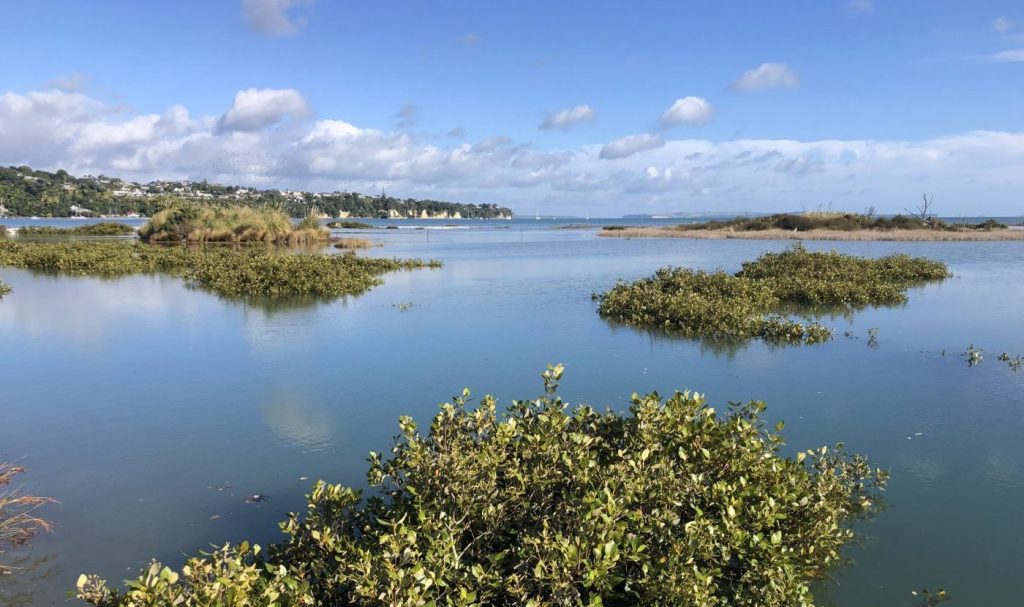 Walks: Exploring the Whitford Bridle Trail - Franklin Times