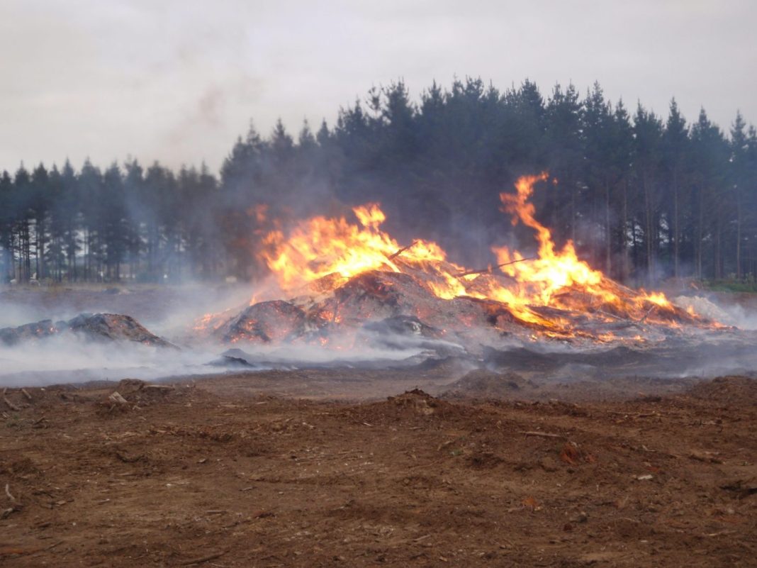 Total fire bans in place despite recent rainfall - Franklin Times