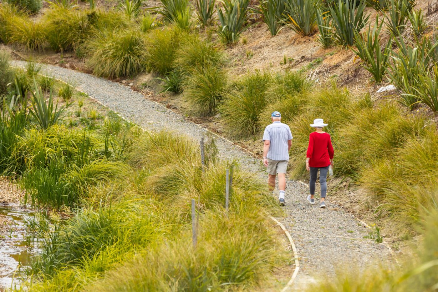 Paerata Rise – the lifestyle move you’ve been waiting for - Franklin Times