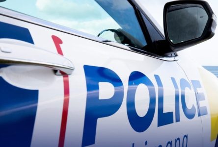 Person dies at popular Auckland beach - Franklin Times
