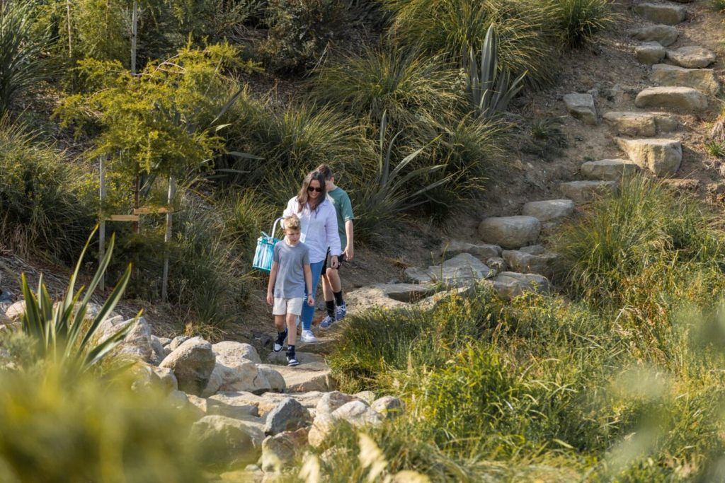 10 things you’ll love about living in Paerata Rise - Franklin Times