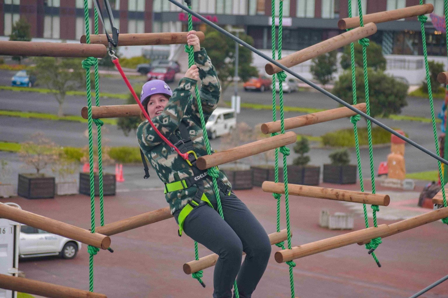 Climb aboard – Auckland’s newest excitement asset opens - Franklin Times