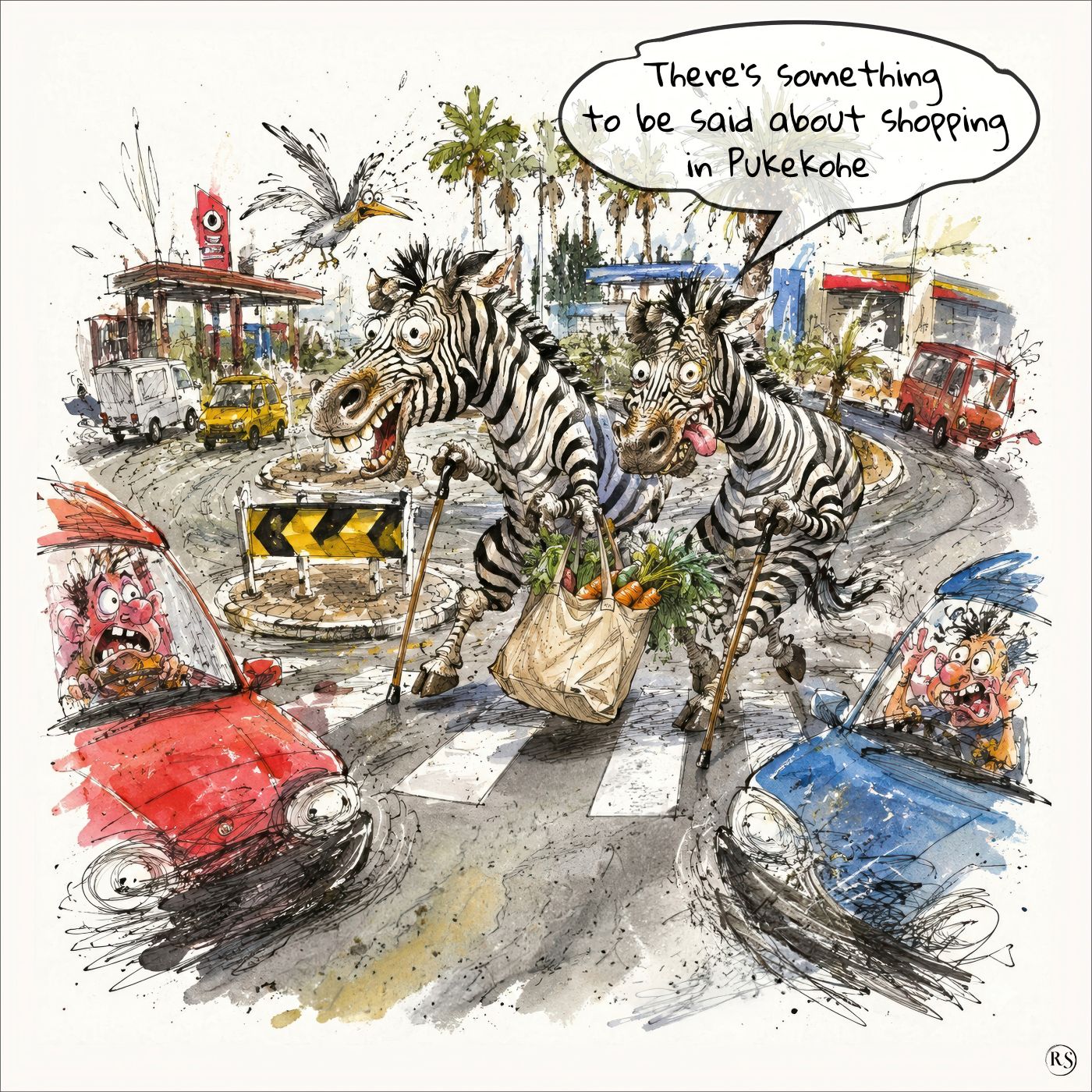 Cartoon: Pukekohe zebra crossings - Franklin Times